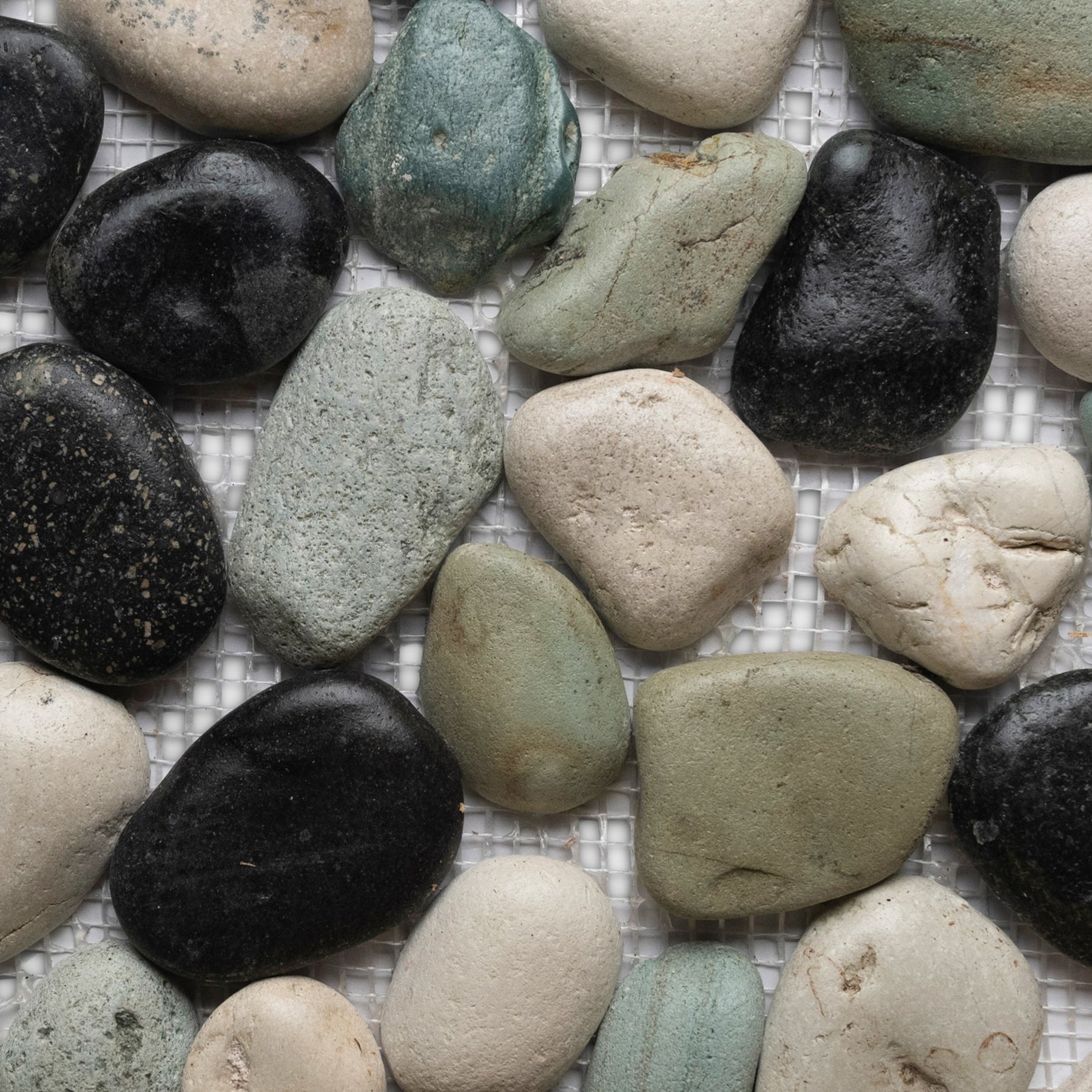 Glazed Bali Turtle Pebble Tile | Pebble Tile Shop