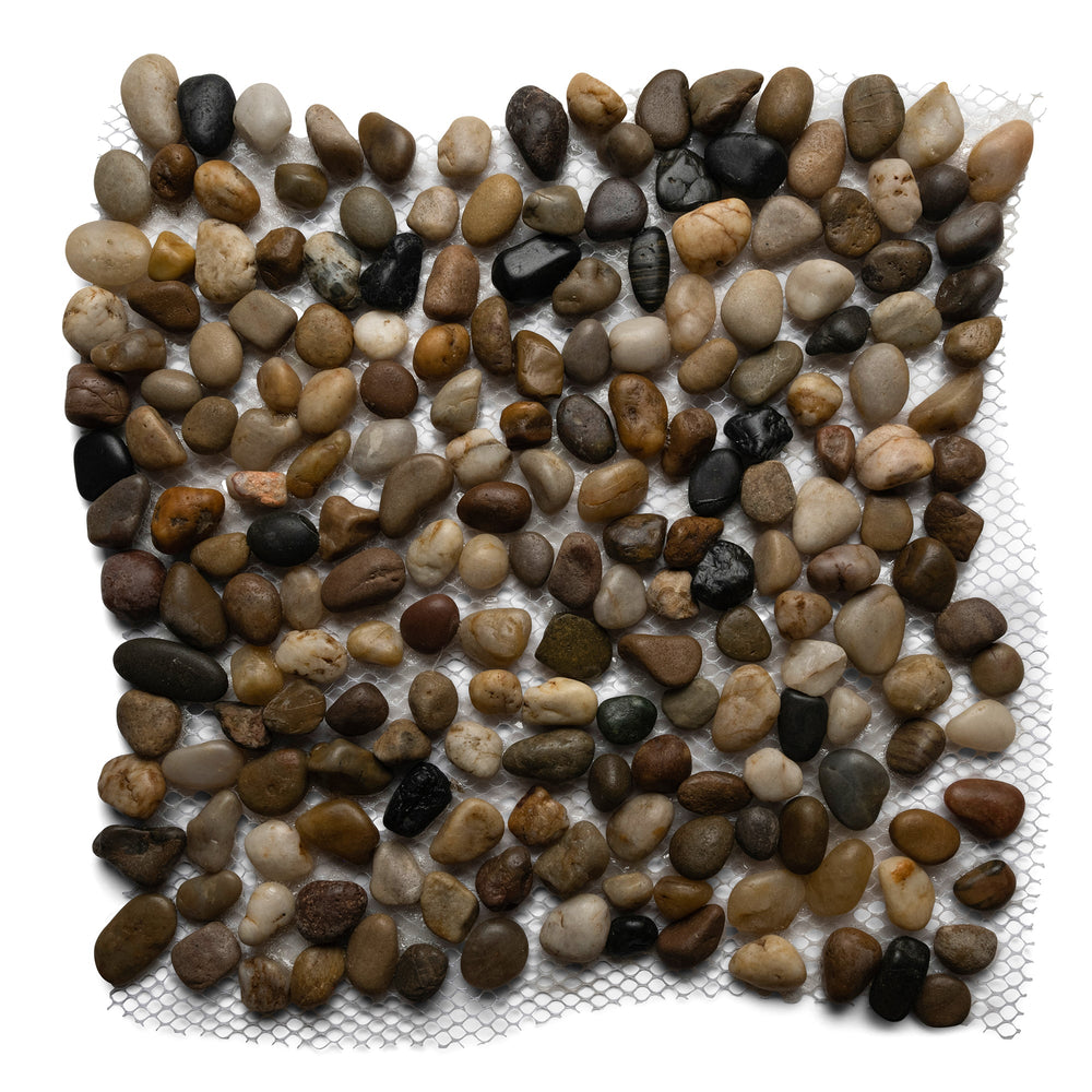 Mini Polished Cobblestone Pebble Tile | Pebble Tile Shop
